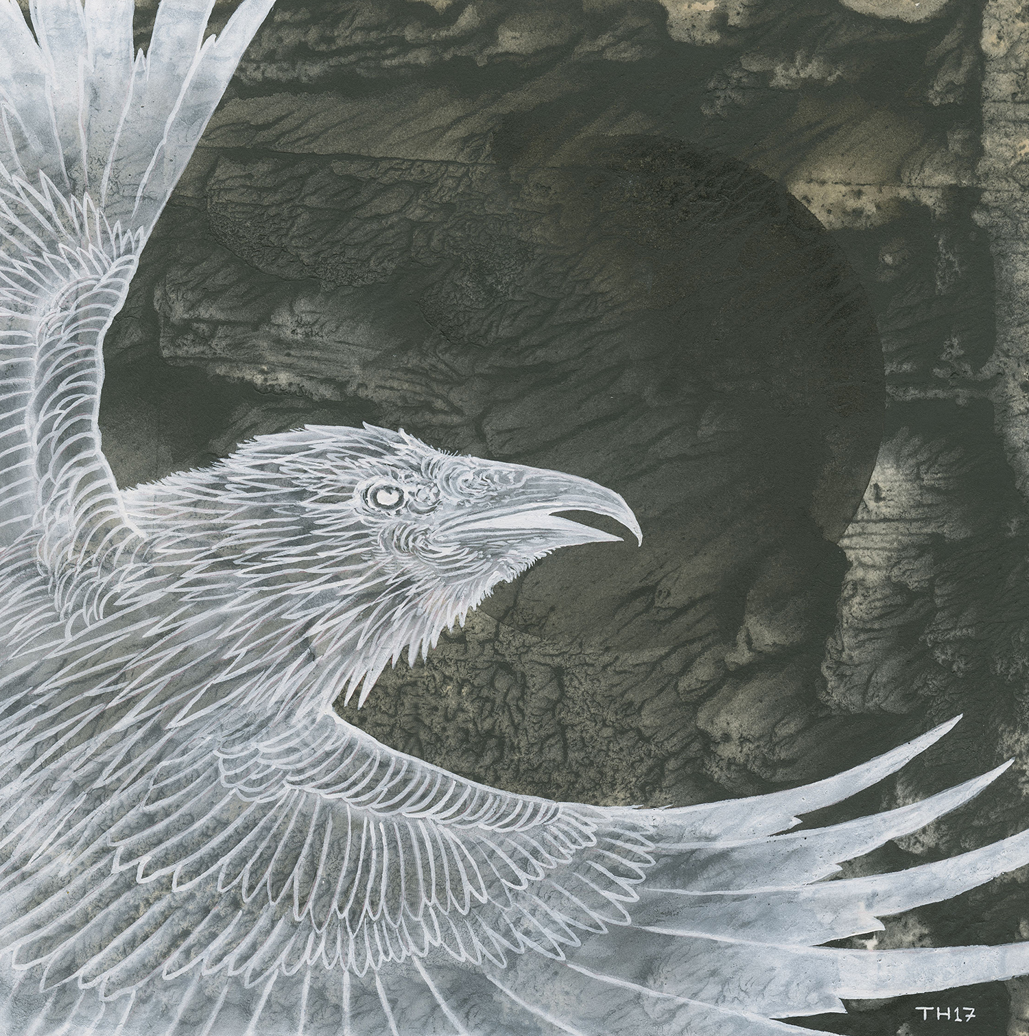 Ghost Raven « Hoopers Electric